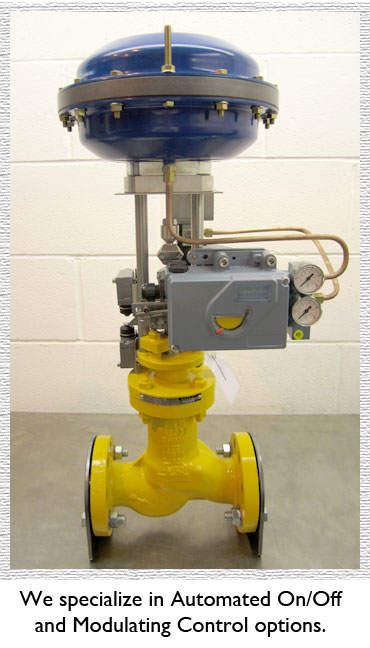 Shaw Valves | CHEMFLOW Products, LLC